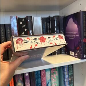 Moonlight Book Box | Accents | Bitten And Bound By Amy Pennza Moonlight ...